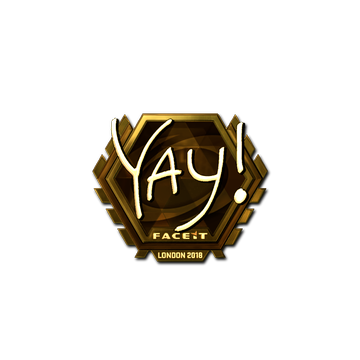 Торговая площадка сообщества Steam :: Лоты Sticker | yay (Gold ...