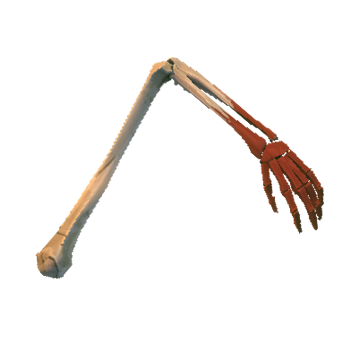 Steam Community Market :: Listings for Skeleton Sickle Red