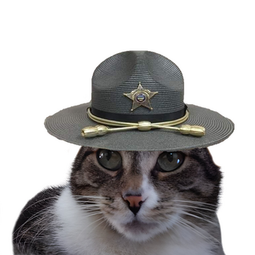 Steam Community Market :: Listings for Sheriff Cat