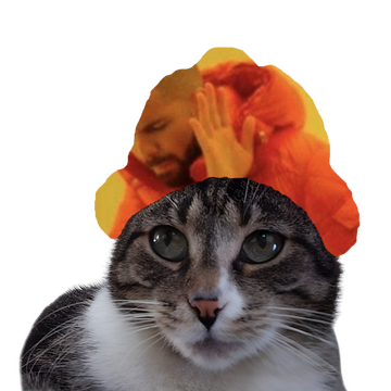 Steam Community Market :: Listings for Nah Cat