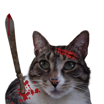 Steam Community Market :: Listings for Post-apocalyptic Cat