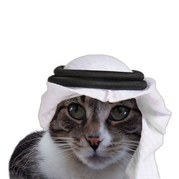 Steam Community Market :: Listings for Habibi Cat
