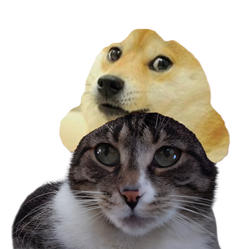 Steam Community Market :: Listings for Doge Cat