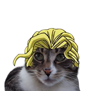 Steam Community Market :: Listings for Kira Cat