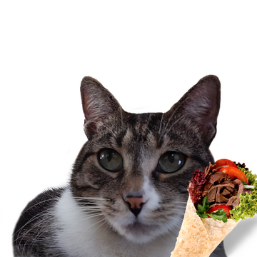Steam Community Market :: Listings for Kebab Cat
