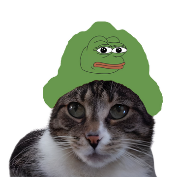 Steam Community Market :: Listings for Pepe Cat
