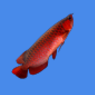 Steam Community Market :: Listings for Arowana