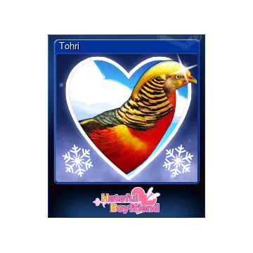 Steam Community Market :: Listings for 377080-Tohri