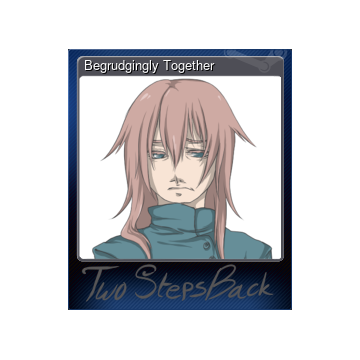 Steam Community Market :: Listings for 370200-Begrudgingly Together