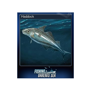 Steam Community Market :: Listings for 501080-Haddock