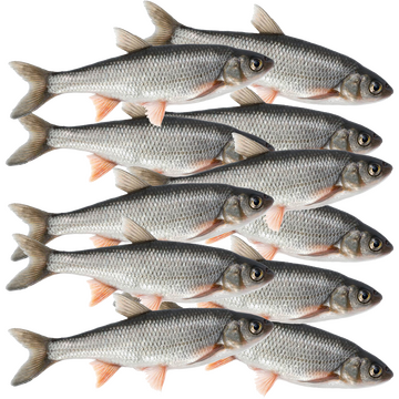 Steam Community Market :: Listings for Fish Army