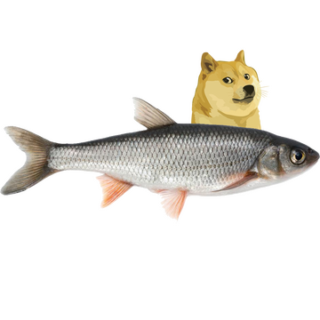 Steam Community Market :: Listings for Doge on fish