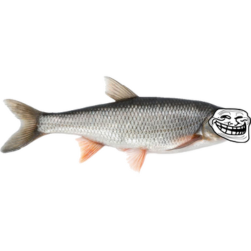 Steam Community Market :: Listings for Trollfish