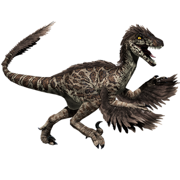 Steam Community Market :: Listings for Rare Feathered Snakeskin Novaraptor