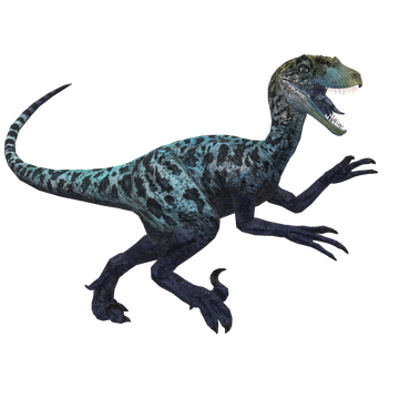 Steam Community Market :: Listings for Rare Marbling Novaraptor