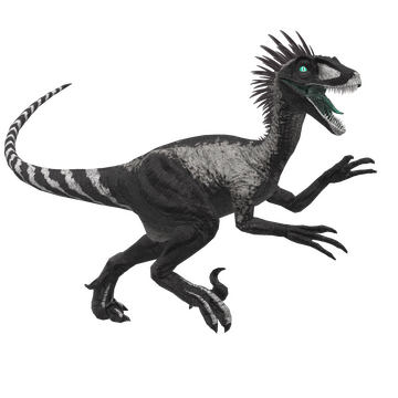 Steam Community Market :: Listings for Rare Pacific White Novaraptor