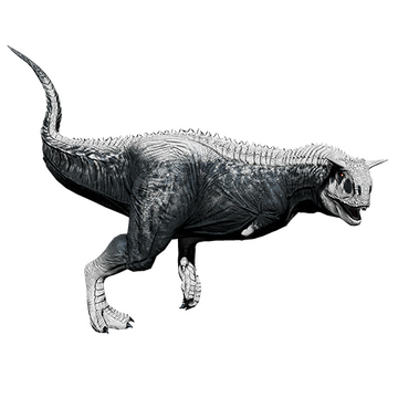 Steam Community Market :: Listings for Uncommon Old Bones Carno