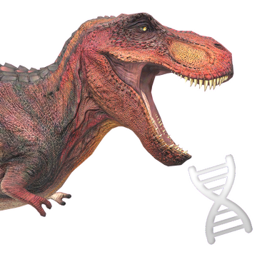 Steam Community Market :: Listings for Rare BARNUM Rex (mutation)