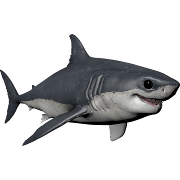 Steam Community Market :: Listings for Great White - Lil' Tooth