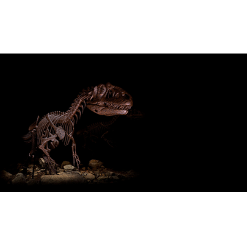 Steam Community Market :: Listings for 864700-Raptor Background