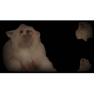 Steam Community Market :: Listings for 475430-Mini the dog