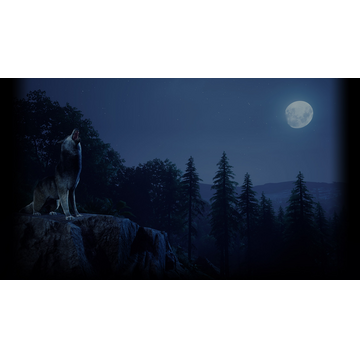 Steam Community Market :: Listings for 1129580-A Night Howl