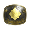 Steam Community Market :: Listings for Sticker | Nemiga (Gold) | Austin ...